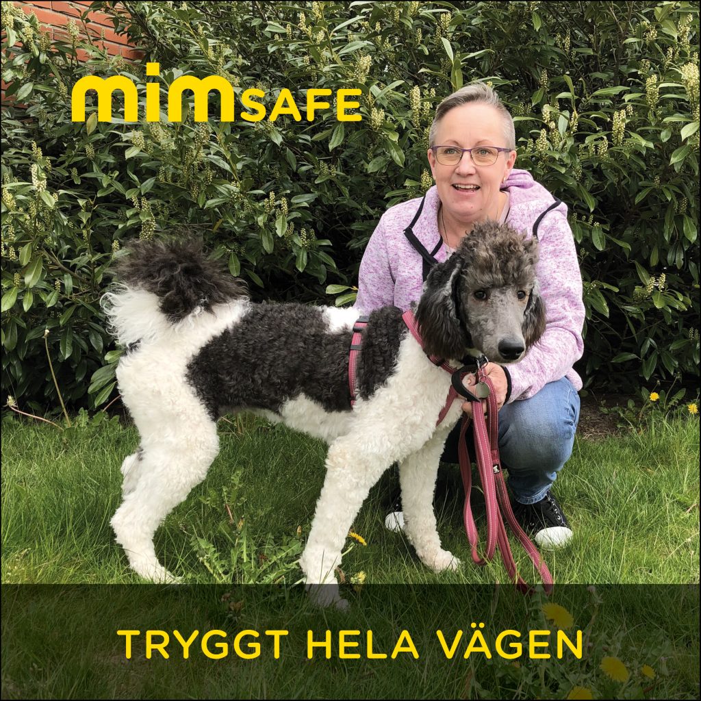 MIMsafe podden - avsnitt 5. Intervju med Kristina Johansson, säljare på MIMsafe - MIMsafe Sverige