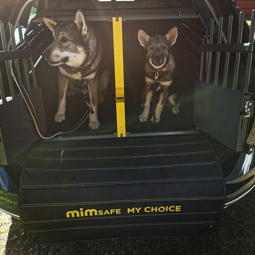 MIMsafe-ambassadör #8 – Mattias Edström från Sundsvall - MIMsafe